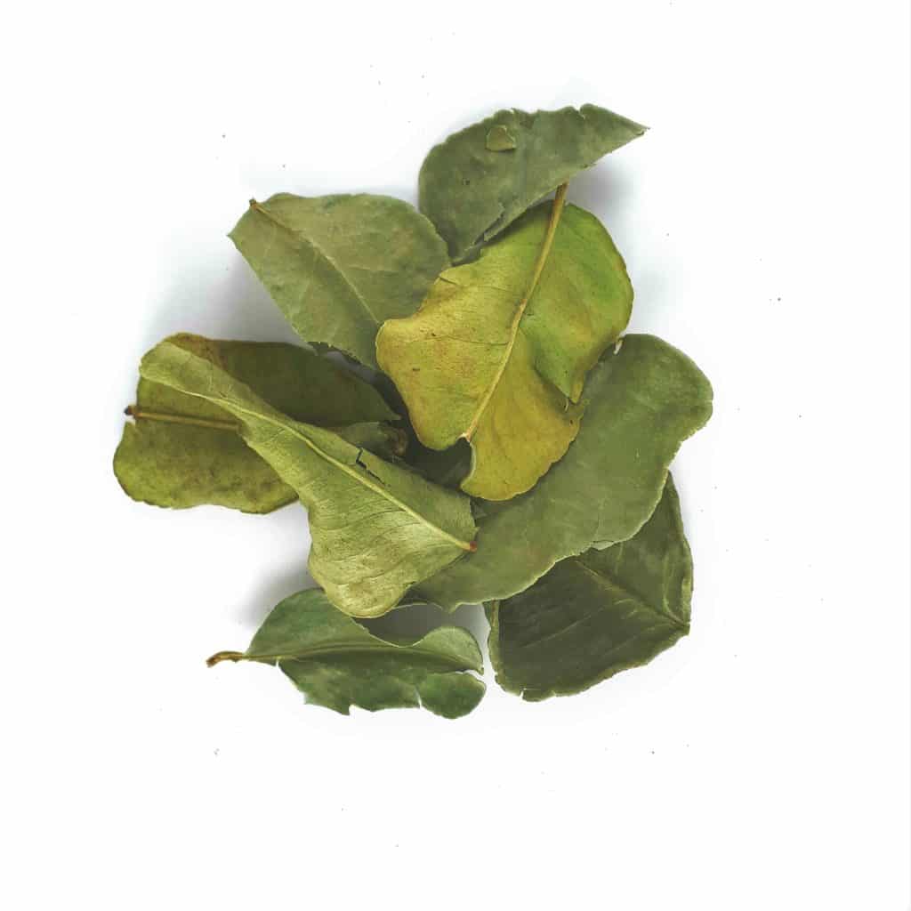 LIME KAFFIR / COMBAVA Feuilles Séchées ( Thaïlande ) – Louna.be
