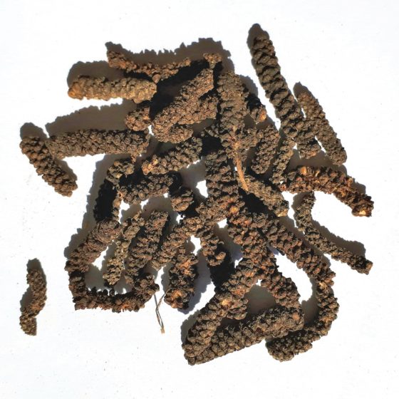 Poivre Long TIMIZ ( Ethiopie ) – Louna.be